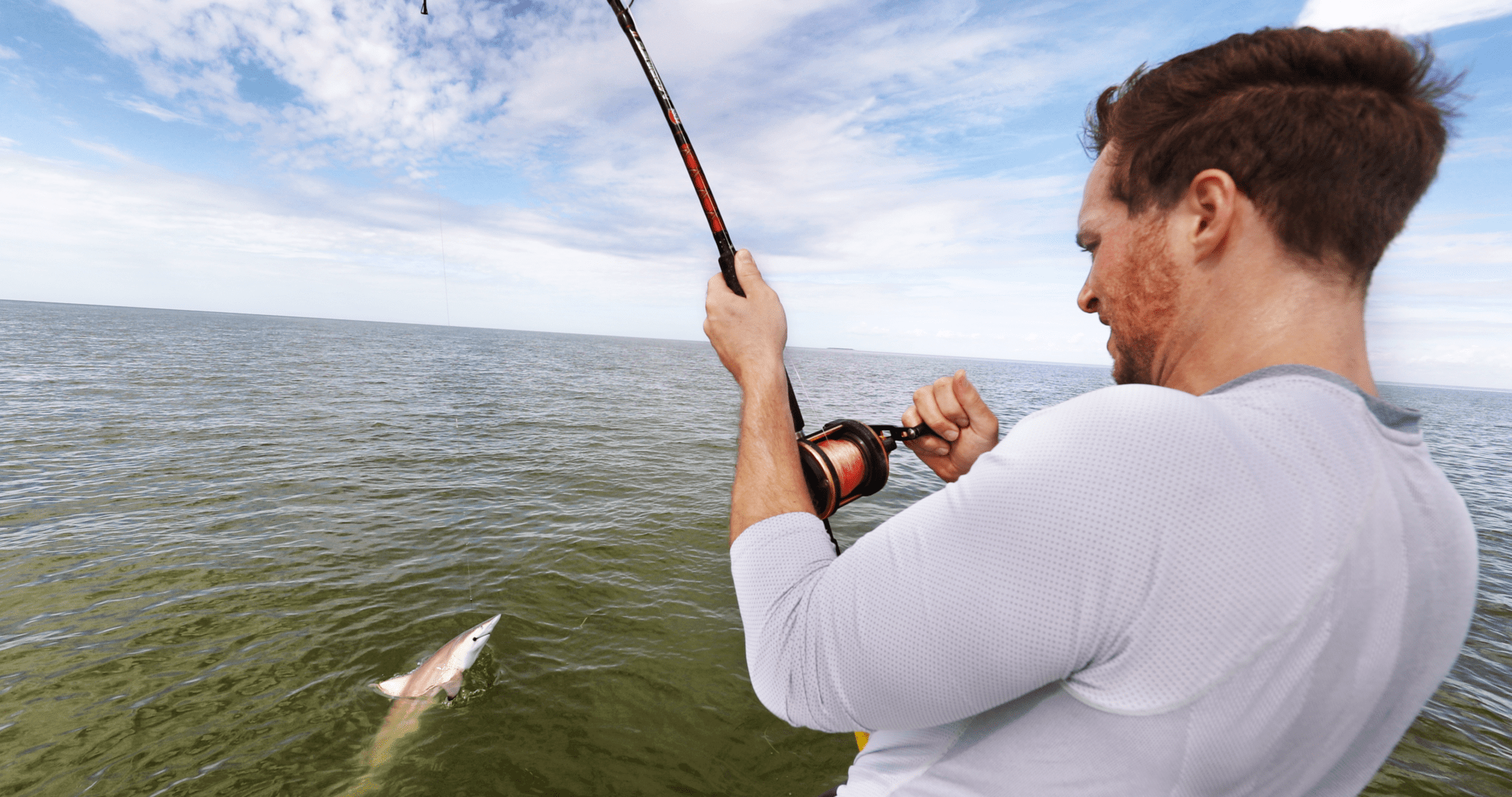 Top Shark Baits: Your Ultimate Guide to Successful Shark Fishing ...